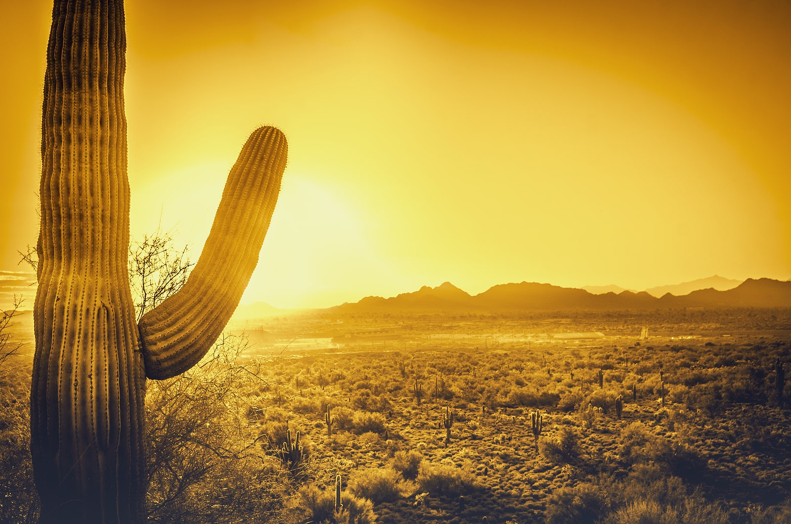 How Hot Does a Roof Get in the Summer of Arizona?